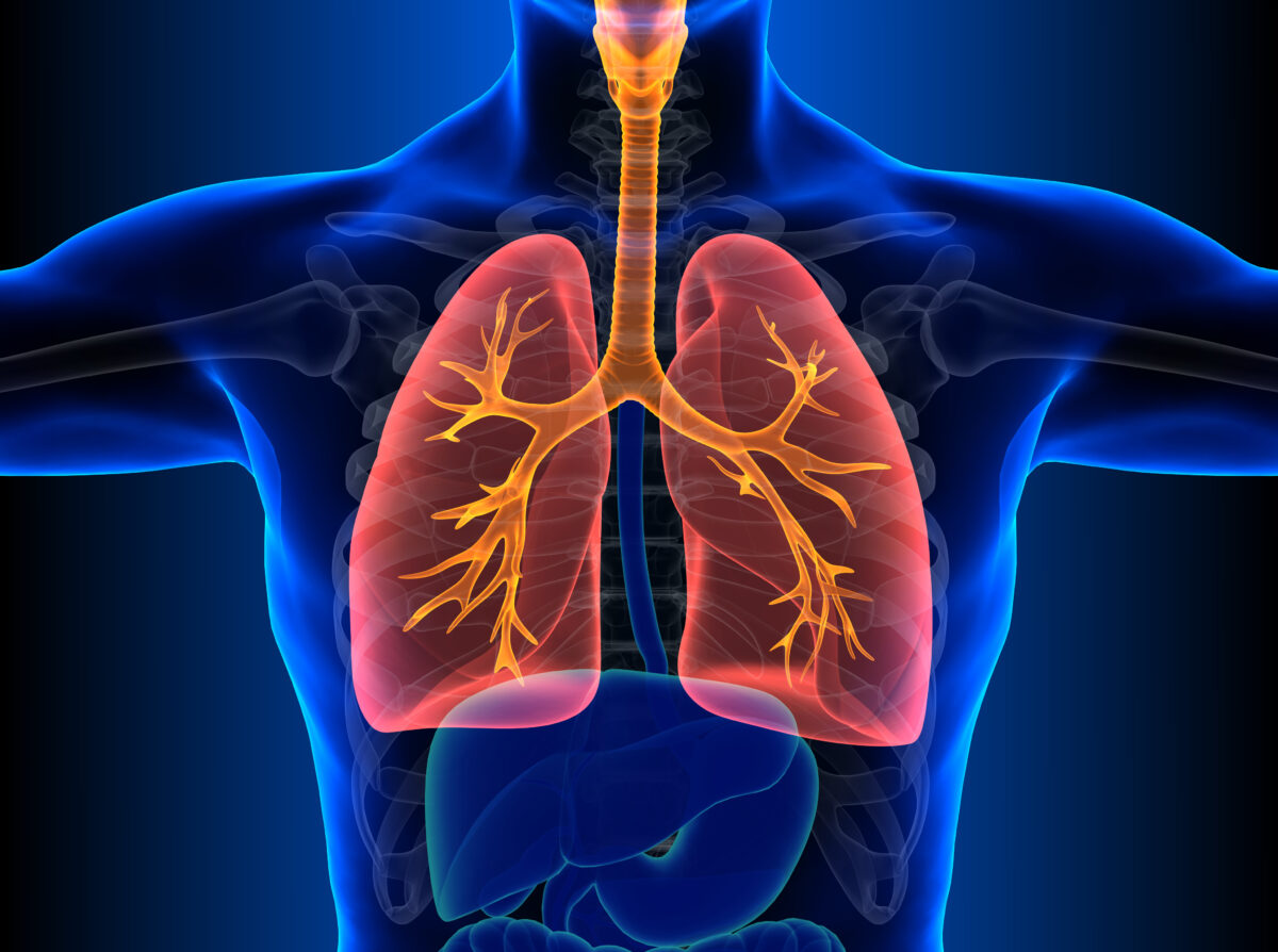 Respiratory Training and Competency Assessments - Momentum People